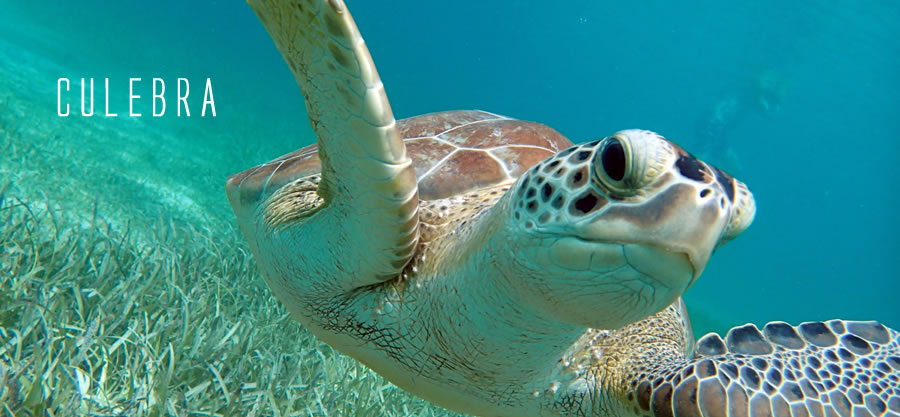 The Beaches of Culebra